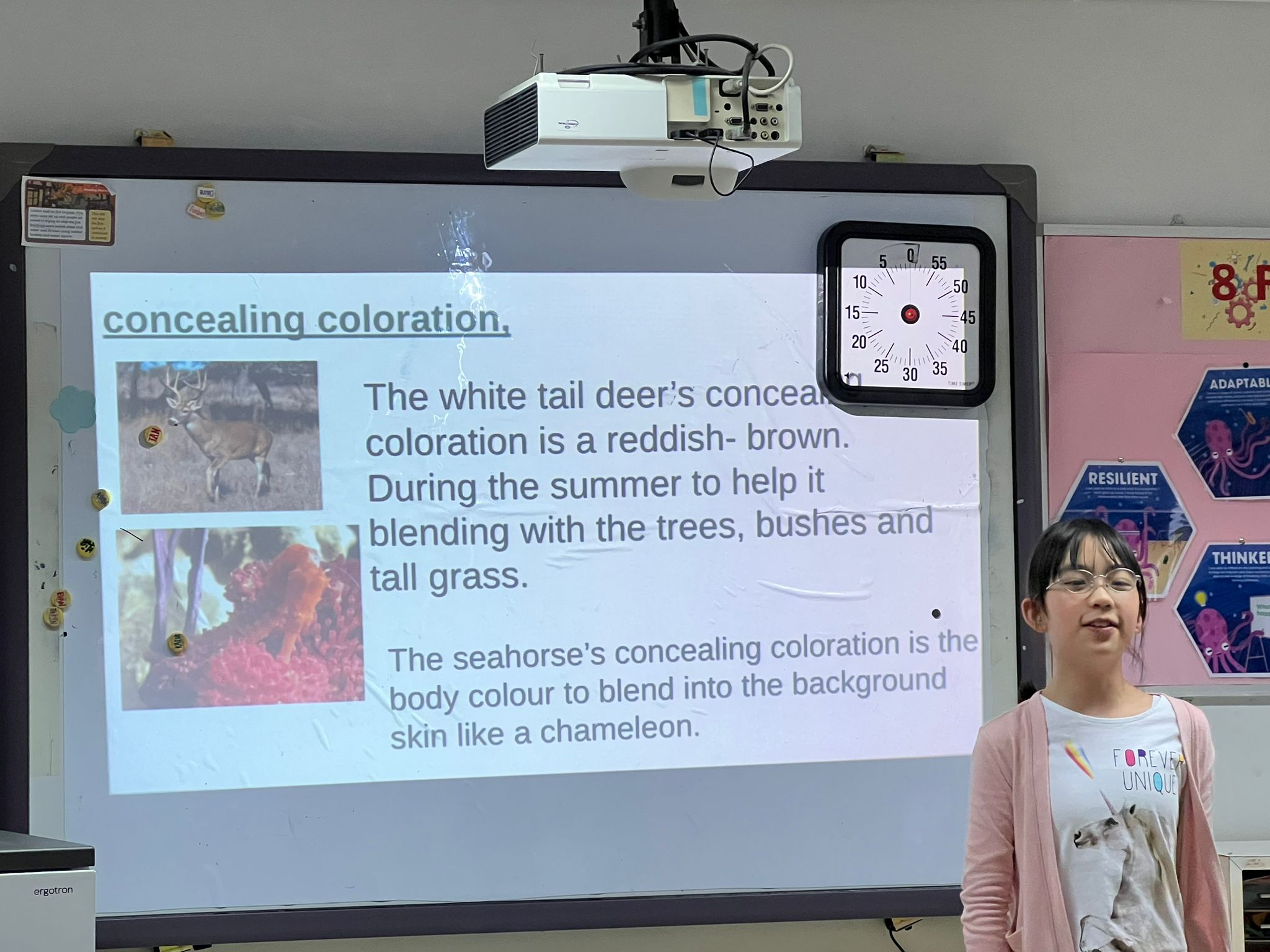 Springboard Year-End Presentation & Music Therapy Workshop – Korean ...