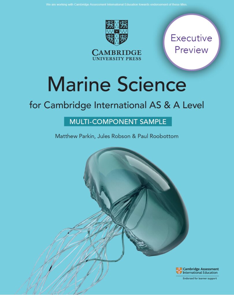 SCIENCE – Korean International School